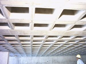 Forjados Bidireccionales - Construmatica