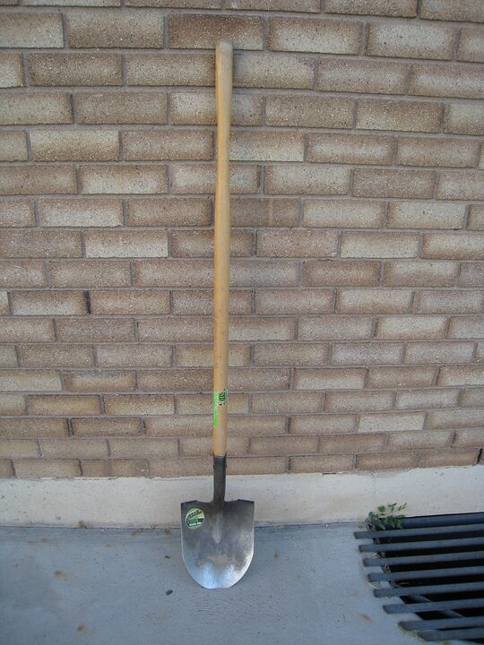 Pala - Construmatica