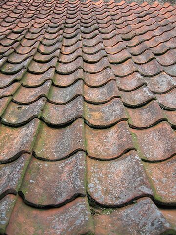 Teja de Cimacio - Construmatica